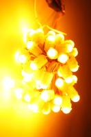 China Miracle Bean LED Christmas Decorations LED Point Light Single Color LED Pixel Light for sale