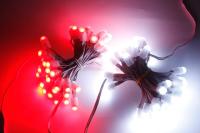China Permanent Exterior Holiday Decoration Lights RGBIC DC5V Jellyfish Christmas Outdoor LED Pixel String 9mm 50pcs for sale