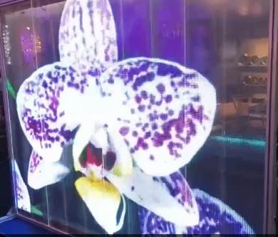 China Flexible Adhesive LED Film Screen P6 DC5V 2500dot/m² Transparent Video Wall for Advertising for sale