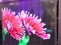 China Flexible Adhesive LED Film Screen P6 DC5V 2500dot/m² Transparent Video Wall for Advertising for sale