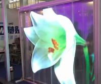 China Flexible Adhesive LED Film Screen P6 DC5V 2500dot/m² Transparent Video Wall for Advertising for sale