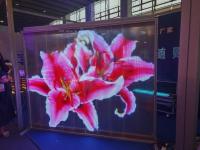 China Flexible Adhesive LED Film Screen P6 DC5V 2500dot/m² Transparent Video Wall for Advertising for sale