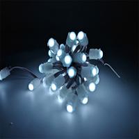 China IP67 Waterproof 12V 0.3W 9mm LED Pixel Light SMD5050 Single Color Outdoor Decorative for sale