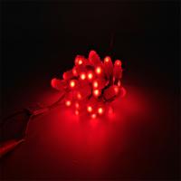 China Miracle Bean LED Christmas Decorations LED Point Light Single Color LED programmable  Pixel Light for sale