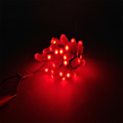 China Miracle Bean LED Christmas Decorations LED Point Light Single Color LED programmable  Pixel Light for sale