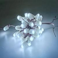 China High light 9mm LED Pixel Light Double Chip IP67 0.2W 12V Waterproof for sale