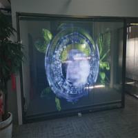 China P10 RGB LED Transparent Film Screen Indoor Flexible Display 240x960mm 5000cd for sale