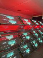China P10 RGB Color LED Transparent Film Screen Indoor Hard Flexible Display 10000Dot 5000Cd for sale