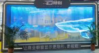 China P10 RGB Color LED Transparent Film Screen Indoor Hard Flexible Display 10000Dot 5000Cd for sale