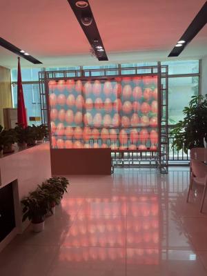 China Sticky Flexible Film LED Display 480x960mm 8mm Pitch Transparent Screen for Glass for sale