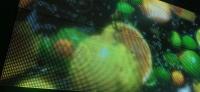 China Sticky Flexible Film LED Display 480x960mm 8mm Pitch Transparent Screen for Glass for sale