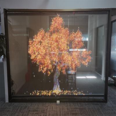 China Flexible Transparent LED Film Screen P20 480x960mm Indoor Advertising Display for sale