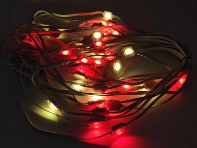 China 12V 20mm RGB Pixel LED Christmas Eaves Light 60PCS Programmable IP67 for sale