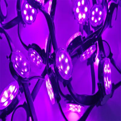 China Wholesale 24V 1.5W RGBW LED Pixel Light 4cm Diameter PC Material IP67 Waterproof for Christmas Holiday Decoration for sale