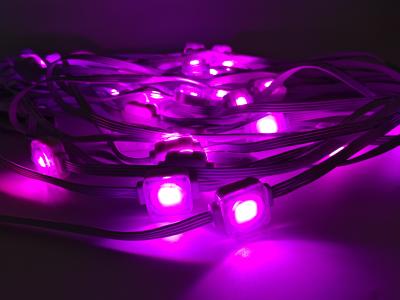 China 24V Outdoor Waterproof Holiday Christmas Decor Point Lights 25mm Diameter 3LED RGB for sale