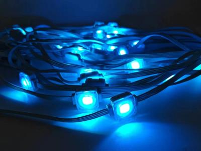 China LED Pixel Point Light 3LEDs SMD5050 RGB IP67 DC24V Programmable Outdoor Decoration for sale