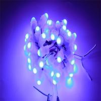 China 9mm 0.2W DC12V IP67 Single Color LED Pixel Light for Outdoor Waterproof Advertising Channel Letters for sale