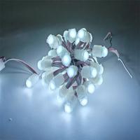 China IP67 Waterproof LED Pixel Light DC12V 0.2W 160° Viewing Angle 30000 Hours for sale