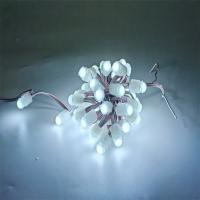 China IP67 Waterproof LED Pixel Light DC12V 0.2W 9mm 30000 Hours Outdoor Decoration RGB for sale