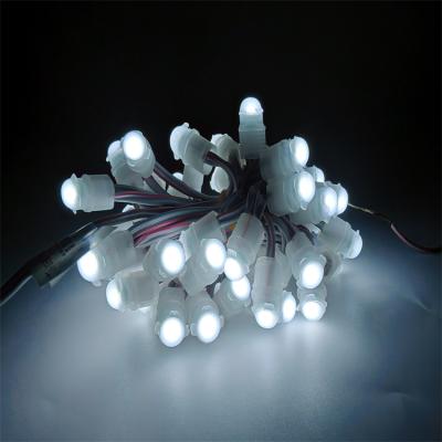 China IP67 Waterproof LED Pixel Light DC12V 0.2W 9mm 30000 Hours Outdoor Decoration RGB for sale