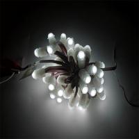 China DC12V 9mm RGBIC LED Pixel String Light 50 LEDs Outdoor Jellyfish Christmas Decoration for sale