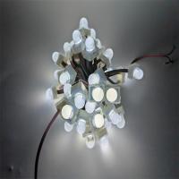 China Smart 12mm SMD5050 RGBW Pixel LED String Light IP67 Outdoor Decoration 50pcs DC5V for sale