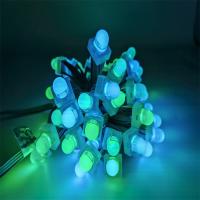 China 12mm Pixel LED Light Christmas Decoration Point Lights IP68 12V Outdoor RGB Full Color 50pcs String for sale