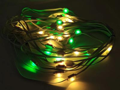 China 25mm RGB RGBW Permanent Christmas Track Light IP67 Outdoor LED Pixel Eaves Light DC24V 1.5W for sale