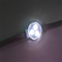 China 48pcs RGB Addressable LED Pixel String Lights Waterproof for Christmas Tree for sale