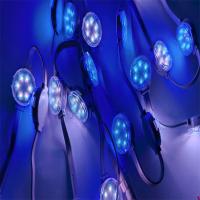 China 24V Outdoor Christmas Decoration Pixel Light 6500K RGBW 1W IP67 48pcs for sale