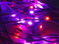 China Smart WiFi Outdoor Pixel Point Lights 30PCS DC24V RGB SMD5050 IP67 Programmable LED String for sale