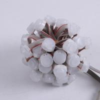 China IP67 RGBW LED Christmas Point Lights 20mm 0.3W DC12V Permanent Holiday Exterior Accent Lighting for sale