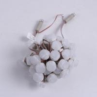 China IP67 RGBW LED Christmas Point Lights 20mm 0.3W DC12V Permanent Holiday Exterior Accent Lighting for sale