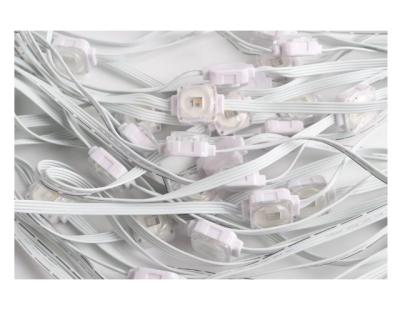 China IP67 RGBW RGBIC Permanent Christmas Outdoor Point Pixel Lights 12V 0.4W for sale