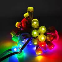 China 20mm Color Eaves Decorative Light 12V Customizable Upgraded IP67 Waterproof for sale