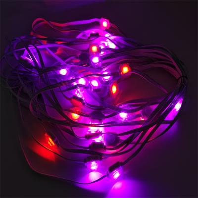 China Outdoor Decoration LED Eave Lights with DC24V Operating Voltage and IP67 Waterproof for sale