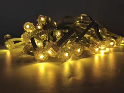 China IP68 Waterproof Smart RGB Outdoor LED Eaves Light 1.5W DC12V for Garden Decor for sale