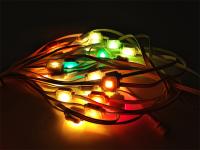 China Permanent IP67 1W 20mm LED Eave Lights Replied within 24 Hours Decorative Lighting for sale
