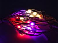 China 25mm 1.5W RGB LED Point Light DC24V Programmable Permanent Eaves Decorative Lighting for sale