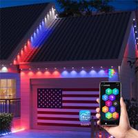 China Waterproof 24V RGBW Outdoor LED Point Light 1.5W SMD5050 Programmable Christmas Decoration for sale