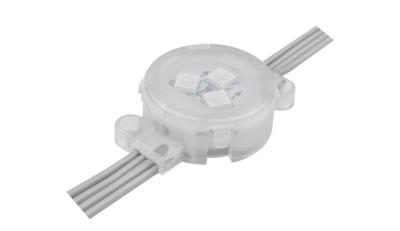 China 6m Per Row LED Strip Light IP67 12V RGBW for Garden Park Landscape Lighting for sale