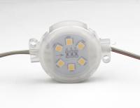 China IP67 Waterproof Outdoor LED Strip SMD 5050 DC 24V RGB Flexible Garden Decoration Light 50mm 1.5W for sale