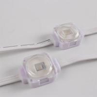 China Outdoor Magic RGB SMD5050 1.5W DC24V Smart Home Pixel Eave Light Programmable for sale