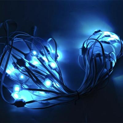 China Permanent IP67 1W 20mm LED Eave Lights Environmental Friendly Decorative Lighting for sale