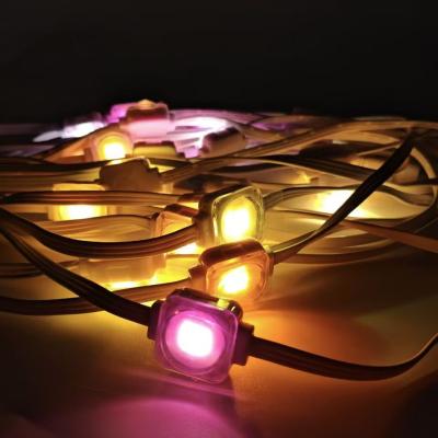 China IP67 Waterproof DC24V 1.5W LED Eave Lights Outdoor Decoration RGBW Programmable for sale