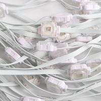 China 24V IP67 RGBW LED Outdoor Christmas Lights 25mm 1.5W Permanent Home Decoration for sale