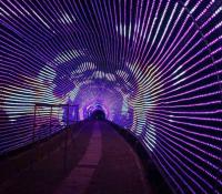 China RGB Color Linear LED Strip 12W 24V DC IP65 Waterproof Outdoor Lighting with 30,000 Hour Lifespan for sale