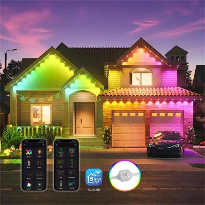 China 20mm RGBW Landscape Point Pixel LED Light 1W DC12V IP67 Outdoor Holiday Decoration SPI Eaves Light for sale