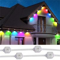 China White RGBIC LED Permanent Christmas Outdoor Point Lights 20mm 100pcs DC24V IP67 Holiday Kits for sale