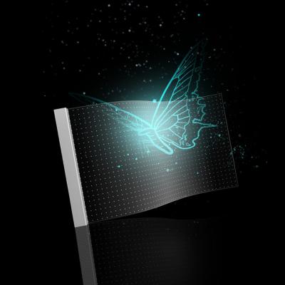China Indoor Flexible Transparent LED Screen Glass Film Crystal Display P6 960x240mm for sale